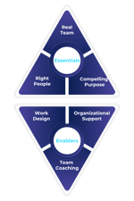 Team Effectiveness & Performance Models | 6 Team Conditions