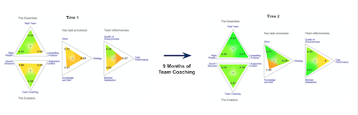 IT Leadership Transformation in Pediatric Healthcare Team