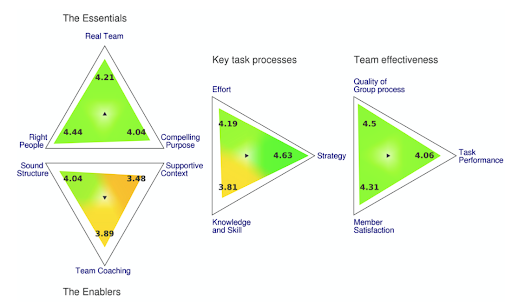 Team Effectiveness in Covid-19 Respiration Unit - Case Study