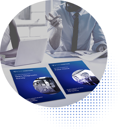 Top Team Development I Transform Your Senior Leadership Team