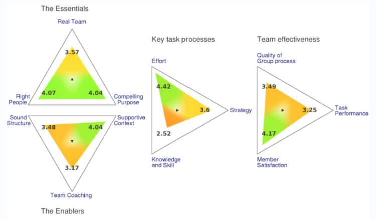 The Team Diagnostic Survey - How Does Your Team Measure Up?