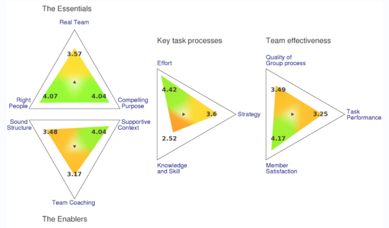 The Team Diagnostic Survey - How Does Your Team Measure Up?